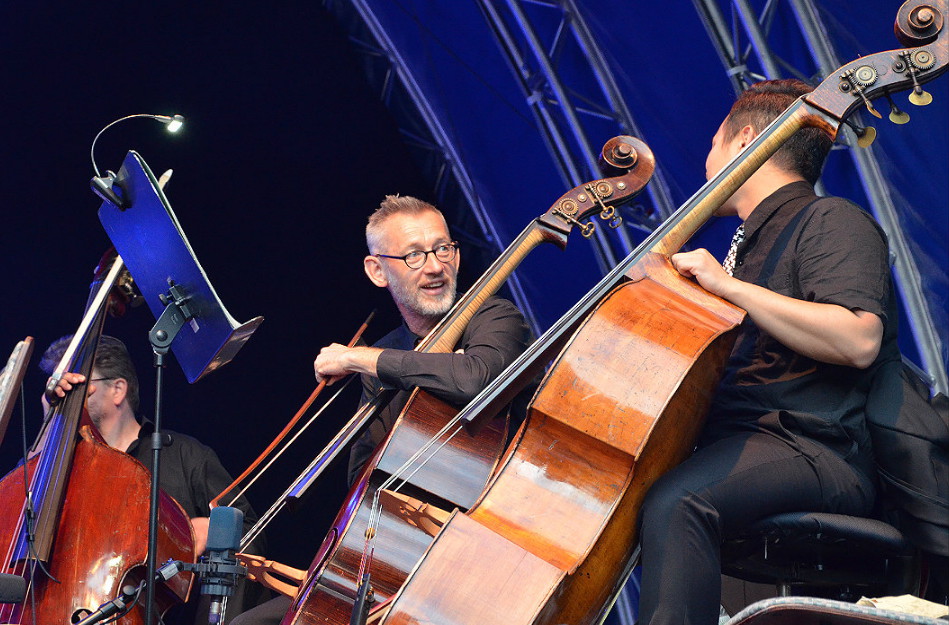 Alexander Steinitz/Gallery